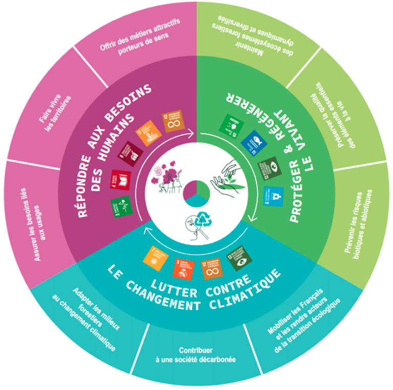 Utile par essence : la démarche d'utilité sociétale de la filière forêt-bois - UICB